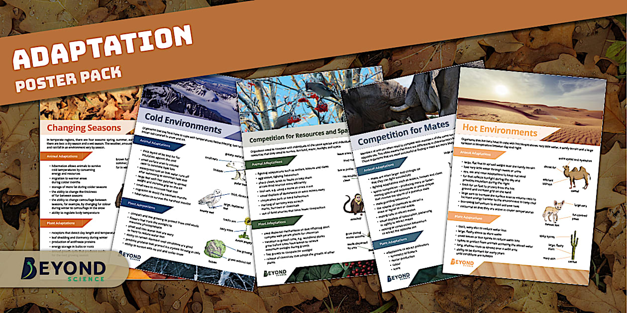 Adaptations Poster Pack | Inheritance and Evolution | Beyond