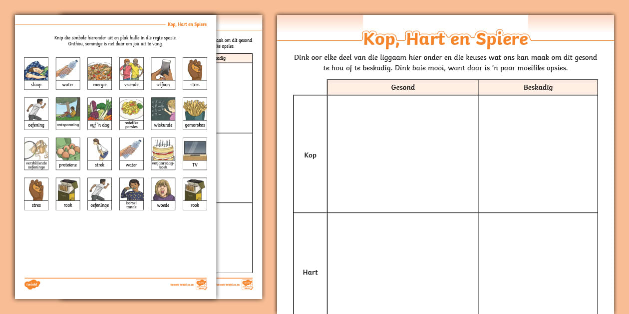 Gesondheidsopvoeding: Kop, Hart en Spiere – Aktiwiteit