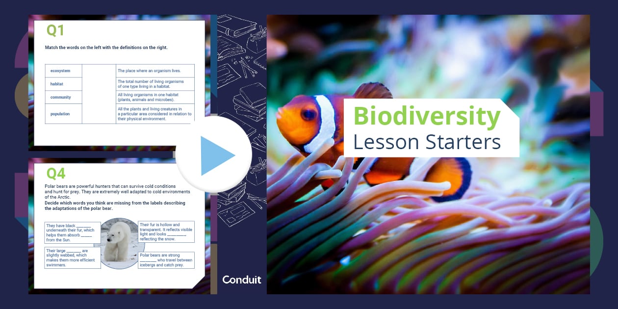 Biodiversity: Lesson Starters PowerPoint (teacher made)