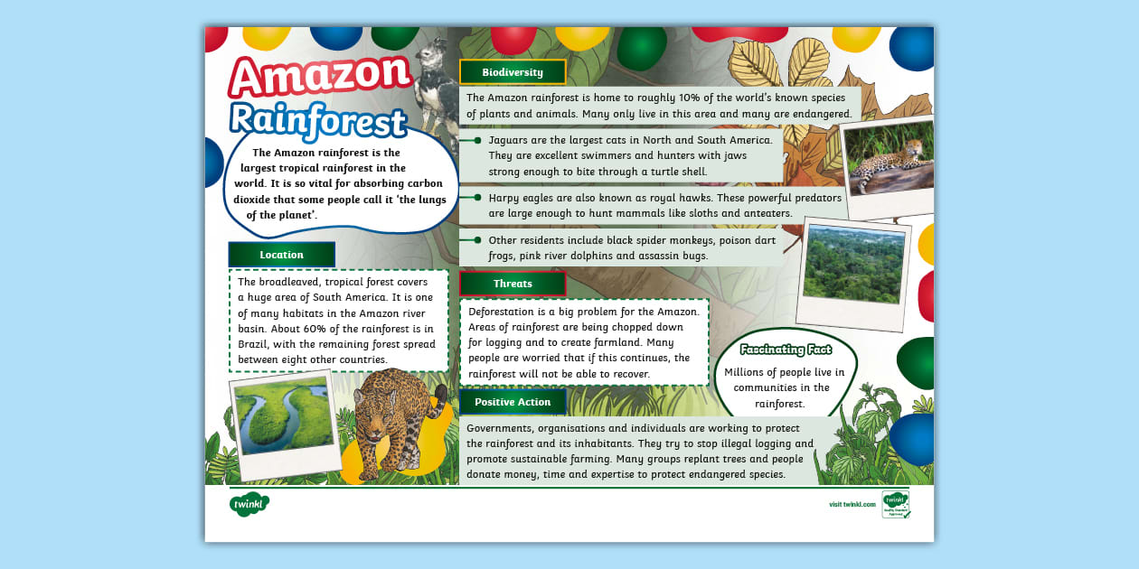 KS2 Amazon Rainforest Fact File (teacher made) - Twinkl