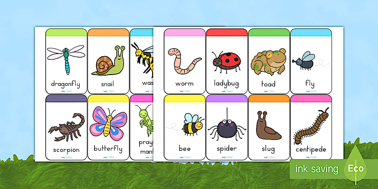 TAS Minibeasts Cute Flashcards (Hecho por educadores)
