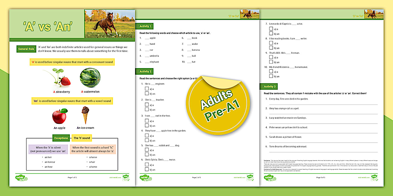 ESL 'A' vs 'An' Worksheet [Adults, A1] (teacher made)