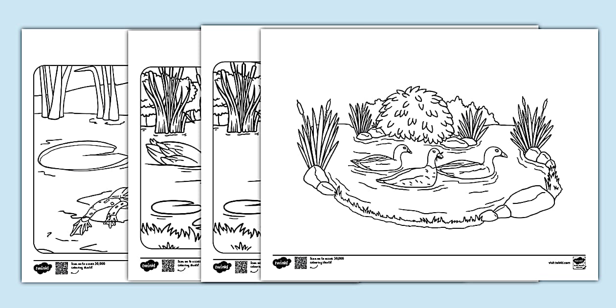 Pond Colouring Pages | Art | Primary Educational Resources