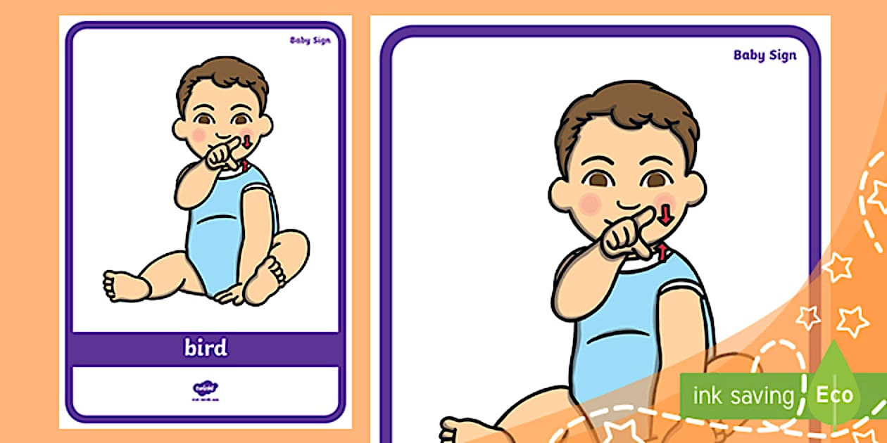 Baby Sign Language Poster (Bird) (teacher made) - Twinkl