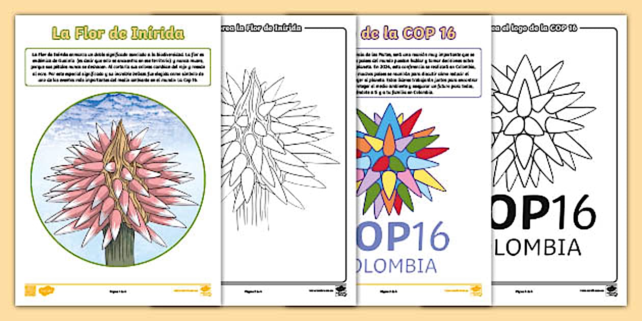 La flor de Inírida y la COP 16 - Escolar - Twinkl Colombia