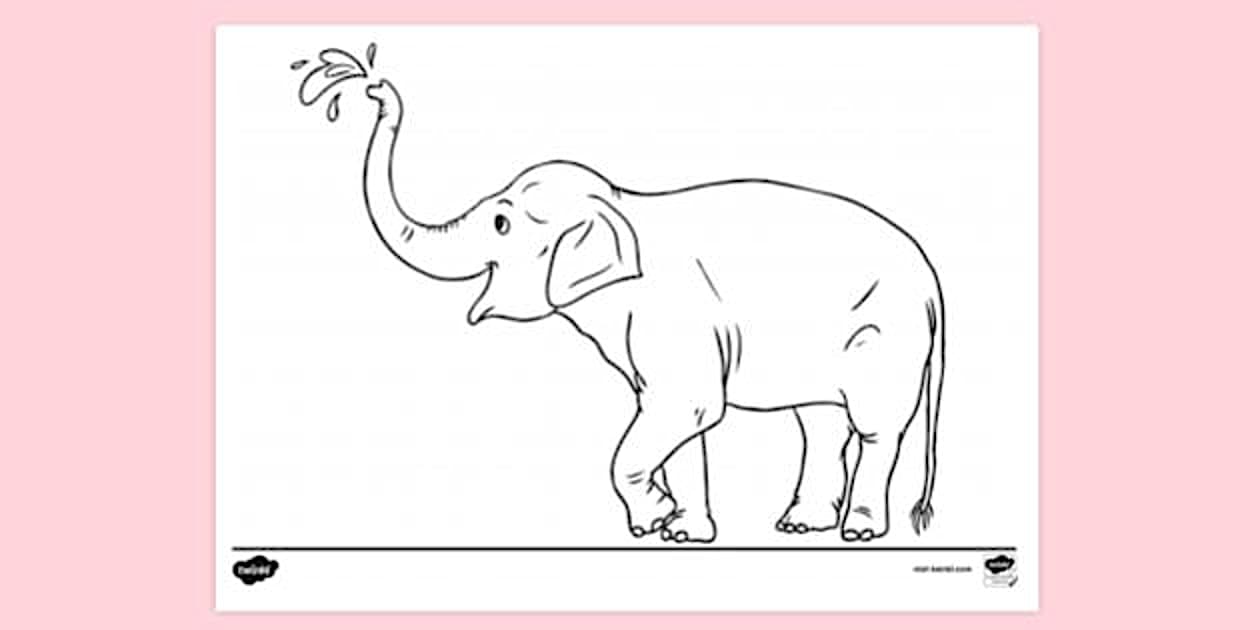 Indian Elephant Colouring Page Printable | Colouring Pages