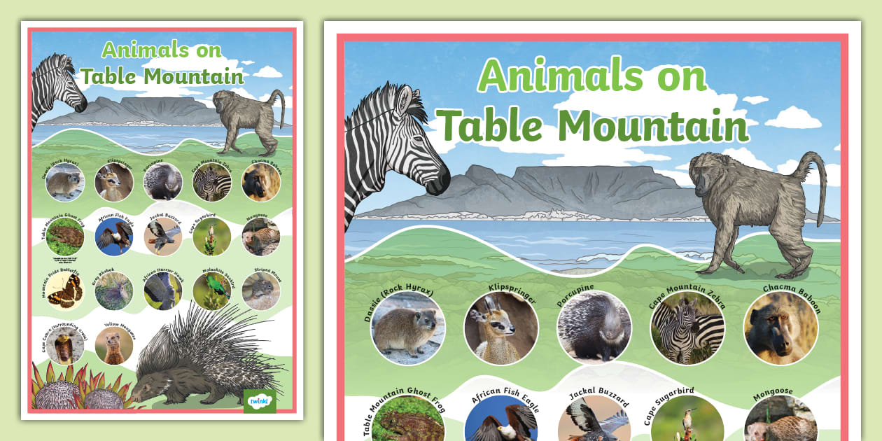 Table Mountain National Park Animals Display Poster - Twinkl