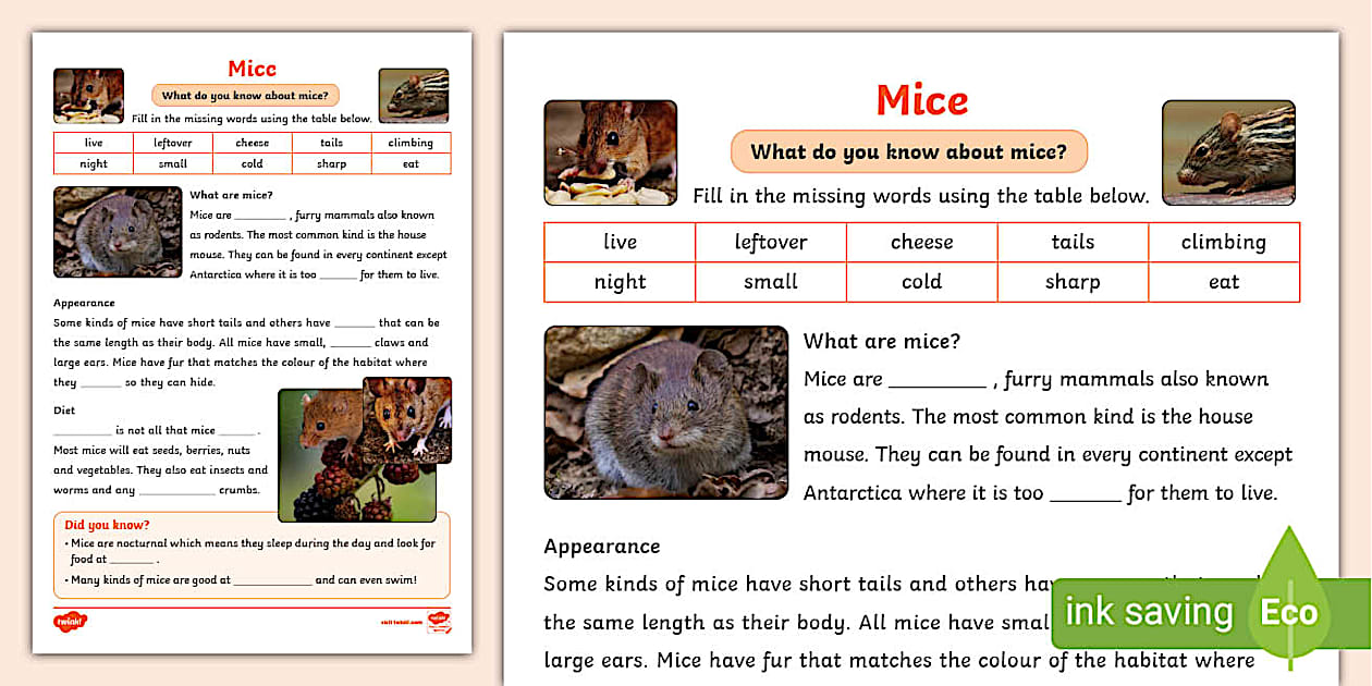 Mice Cloze Worksheet (teacher made) - Twinkl