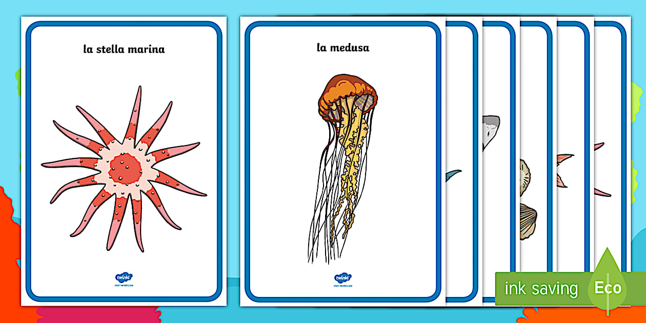 Cartelloni sul mare scuola primaria (teacher made) - Twinkl