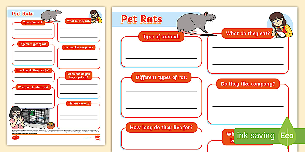 Rat Fact File Template (professor feito) - Twinkl