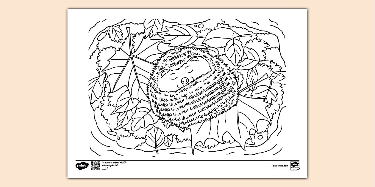 Colouring | Colouring Sheets (teacher made) - Twinkl