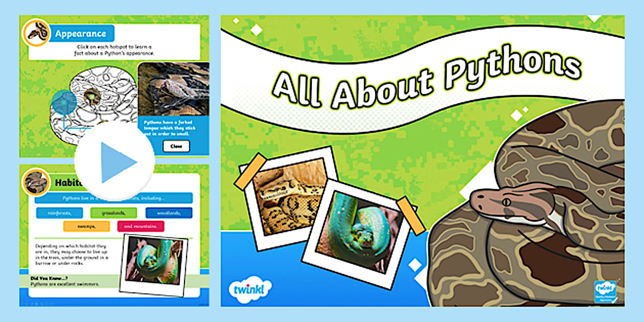 KS1 All About Pythons PowerPoint | Science | Twinkl - Twinkl