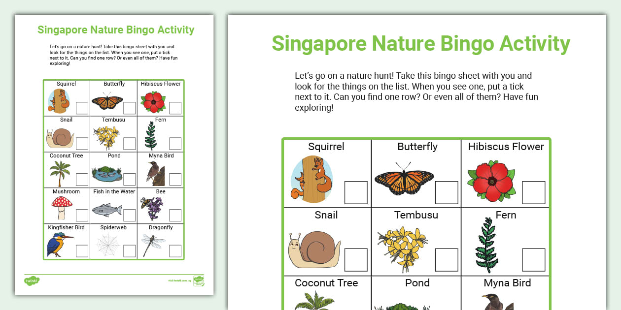 Singapore Nature Bingo for Outdoor Learning (teacher made)