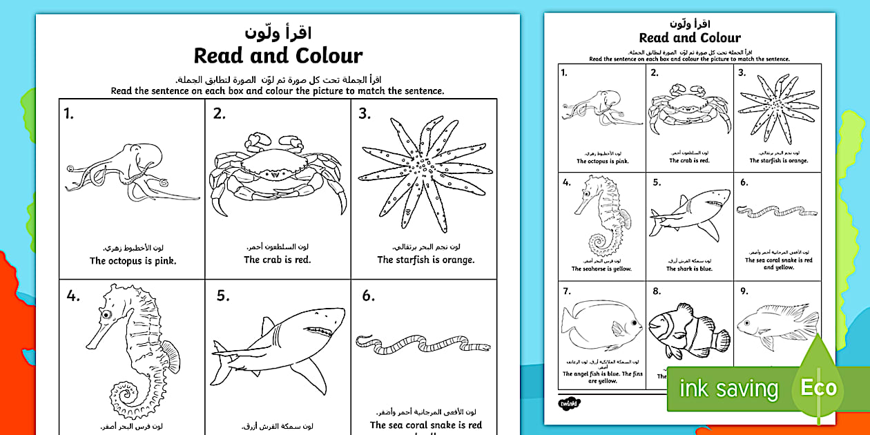 Under the Sea Read and Colour Worksheet Arabic/English - Under the Sea Read