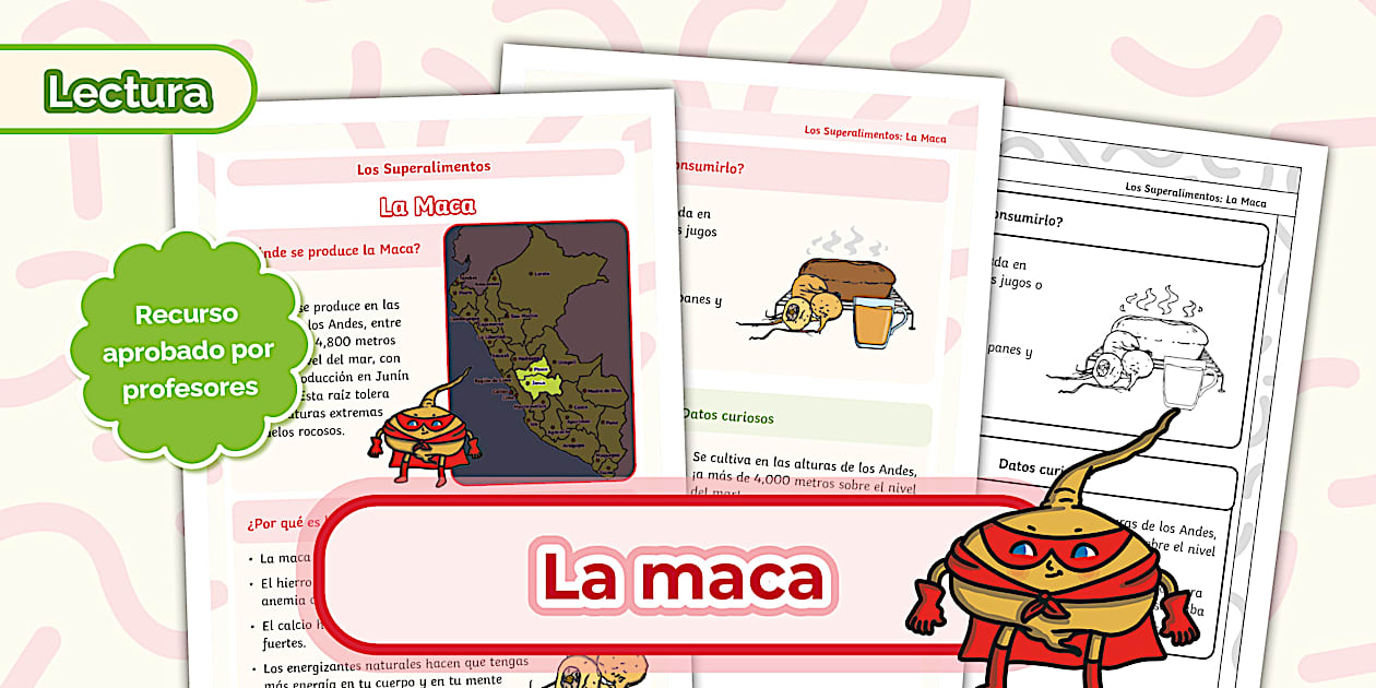 Texto informativo: Maca (Teacher-Made) - Twinkl