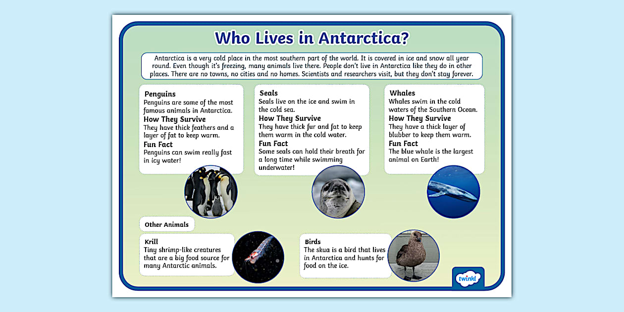 Who Lives in Antarctica? Information Poster (Teacher-Made)