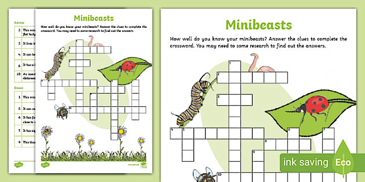 KS1 Minibeasts Crossword (teacher made) - Twinkl