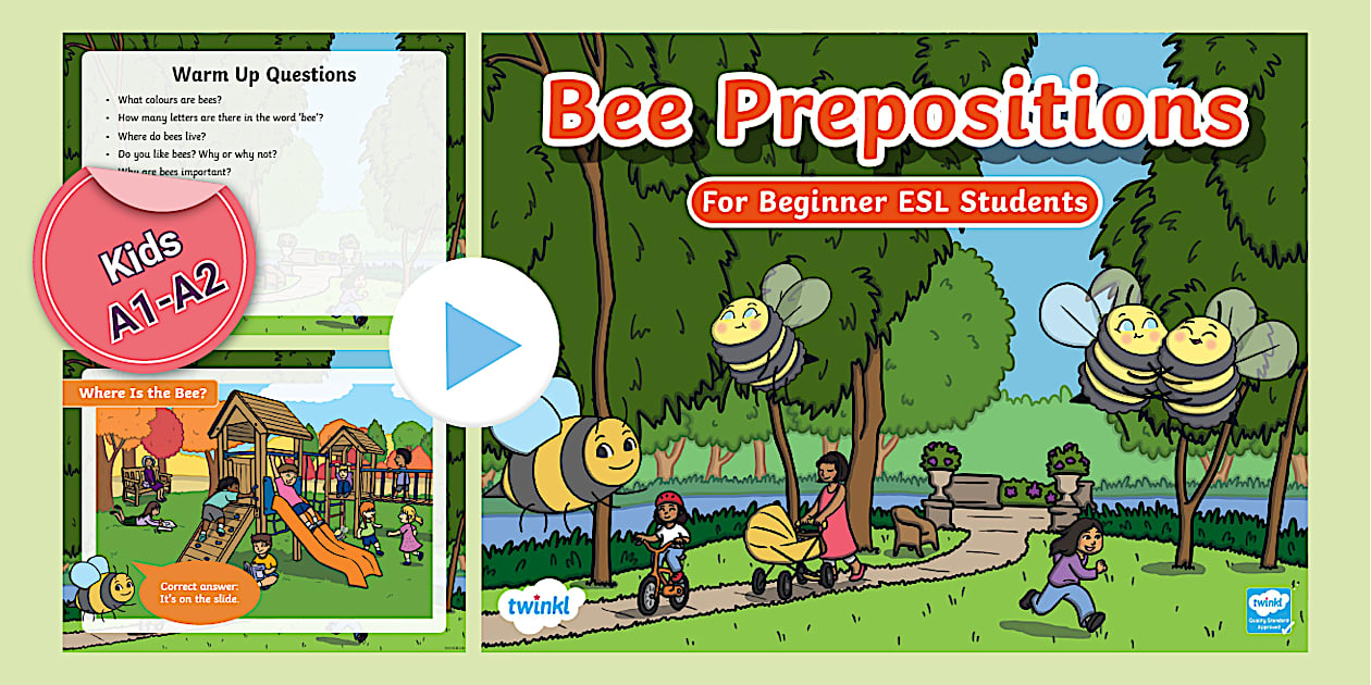 ESL Bee Prepositions [Kids, A1-A2] - Twinkl