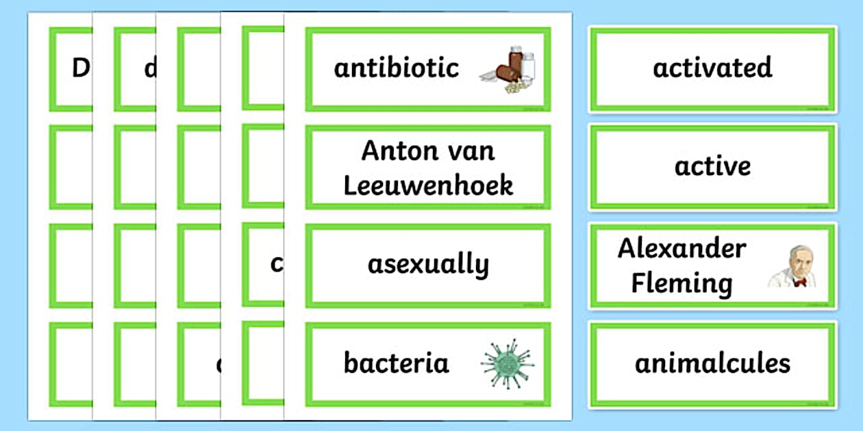 Marvellous Micro-Organisms Word Wall Display Cards - Twinkl