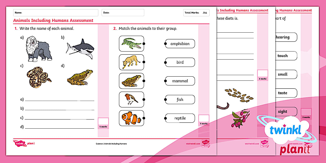 Science: Animals Including Humans: Assessment Test Year 1