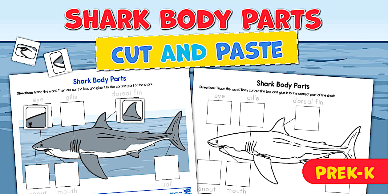 Shark Body Parts Cut and Paste Worksheet