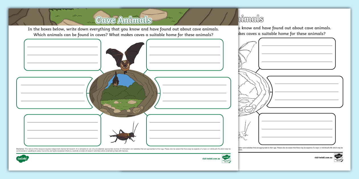 Cave Animals Mind Map - Twinkl Australia - Twinkl