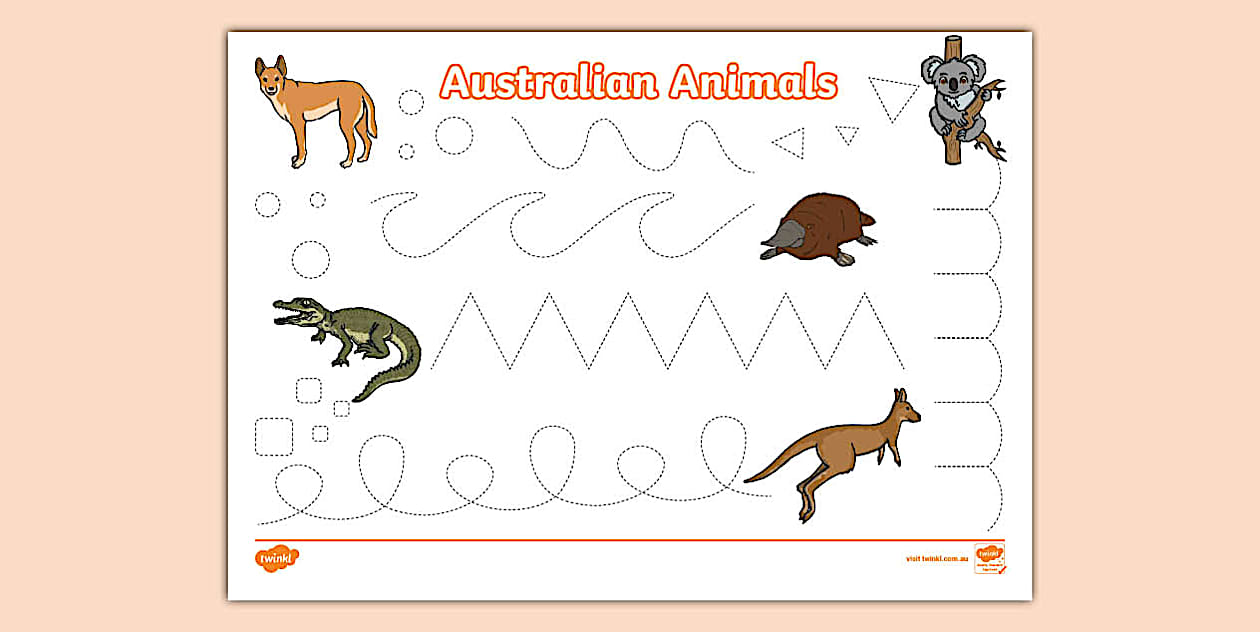 Australian Animals Pencil Control Worksheet - Twinkl