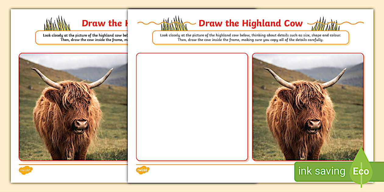 Draw the Highland Cow Art Activity (teacher made) - Twinkl