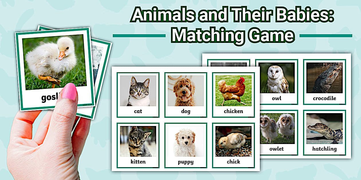 Intermediate Phase - English - Animals and Their Babies: Matching Game ...