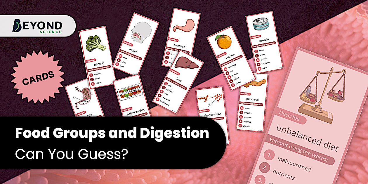 Food Groups and Digestion Can You Guess? Cards | KS3 Biology