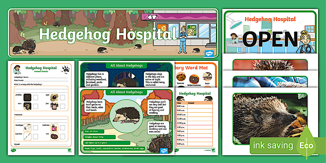 Hedgehog Hospital Role-Play Resource Pack | Twinkl | EYFS