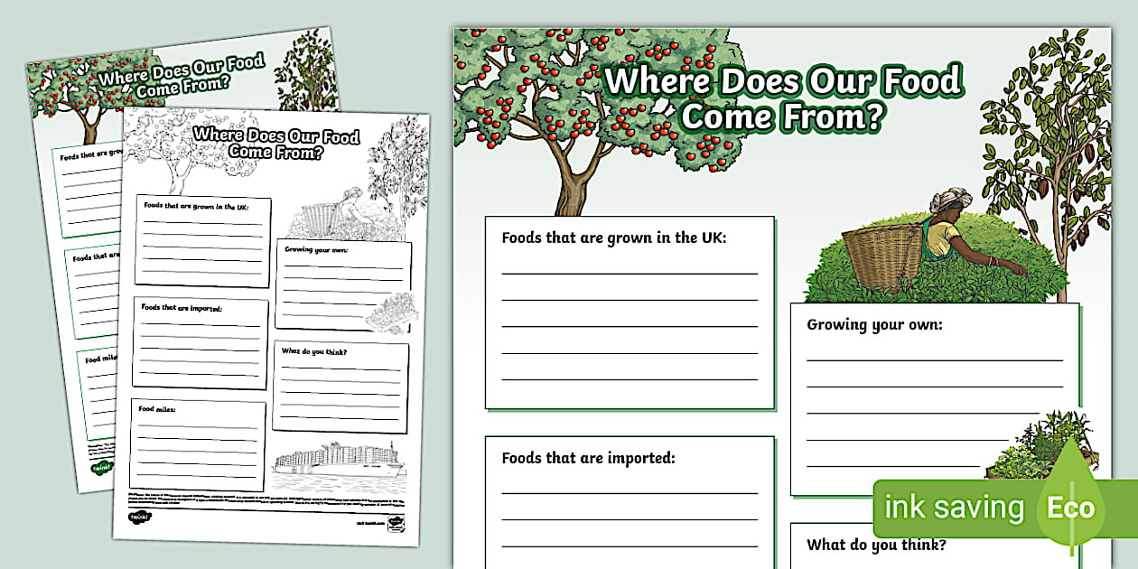 Where Does Our Food Come From? Fact File Template - Twinkl