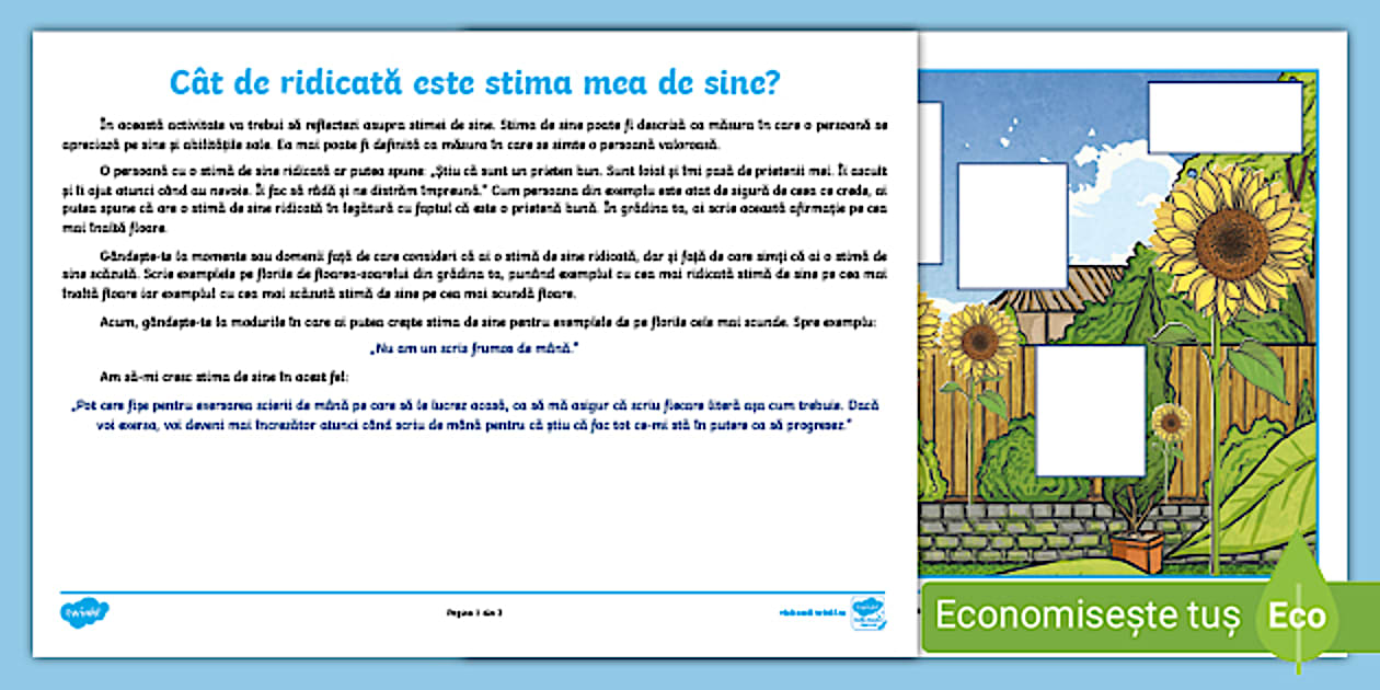 Cât de ridicată este stima mea de sine? Activitate