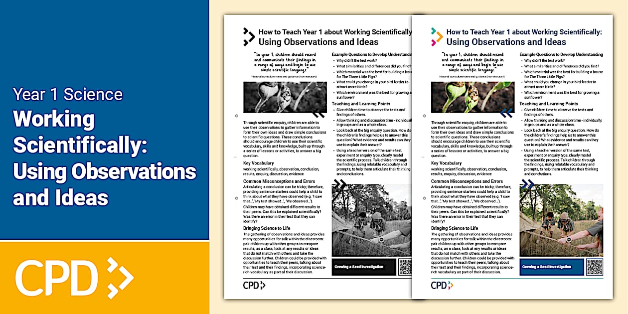 Working Scientifically in Year 1 - Using Observations and Ideas