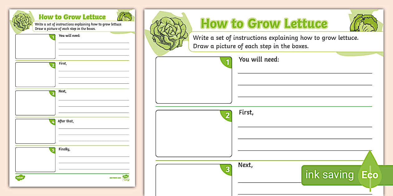 How to Grow Lettuce Instructional Writing Template - Twinkl
