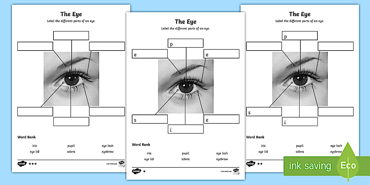 KS1 Science Senses Sight Differentiated Worksheets High Ability