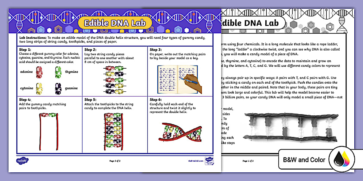 Edible DNA Lab for 6th-8th Grade (Teacher-Made) - Twinkl