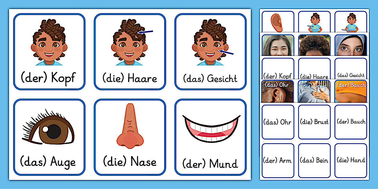 DaZ Körperteile Wort- und Bildkarten (teacher made)