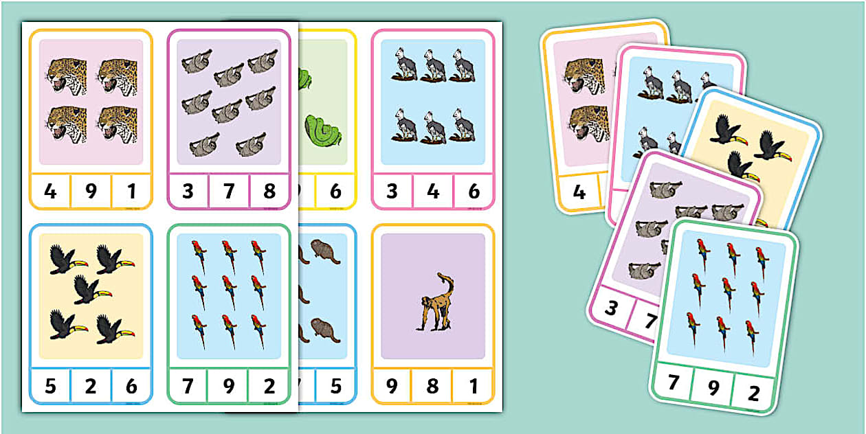 Rainforest Animals Peg Counting Activity (teacher made)