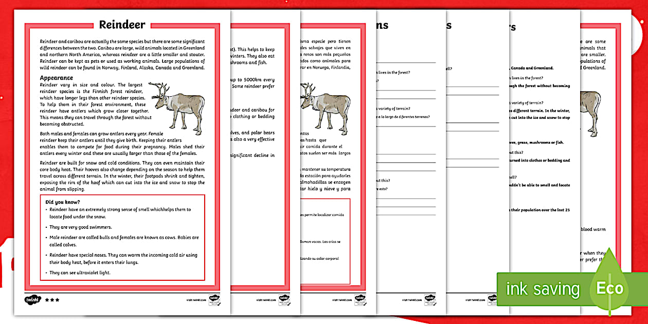 Reindeer Differentiated Reading Comprehension Activity English/Spanish