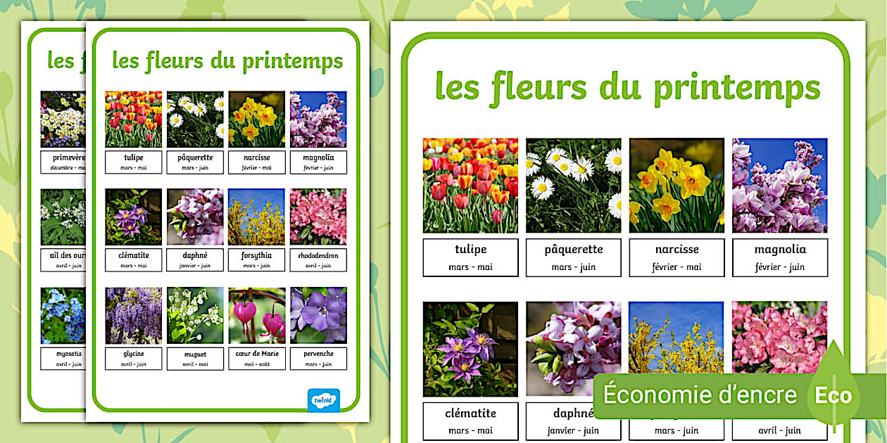 Affiches sur les fleurs du printemps (teacher made) - Twinkl
