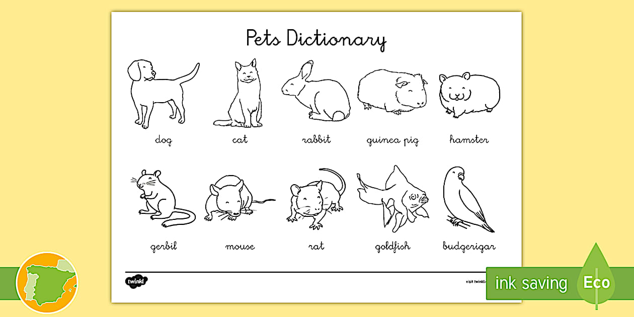 Editable A1 Diccionario para colorear: Mascotas en inglés