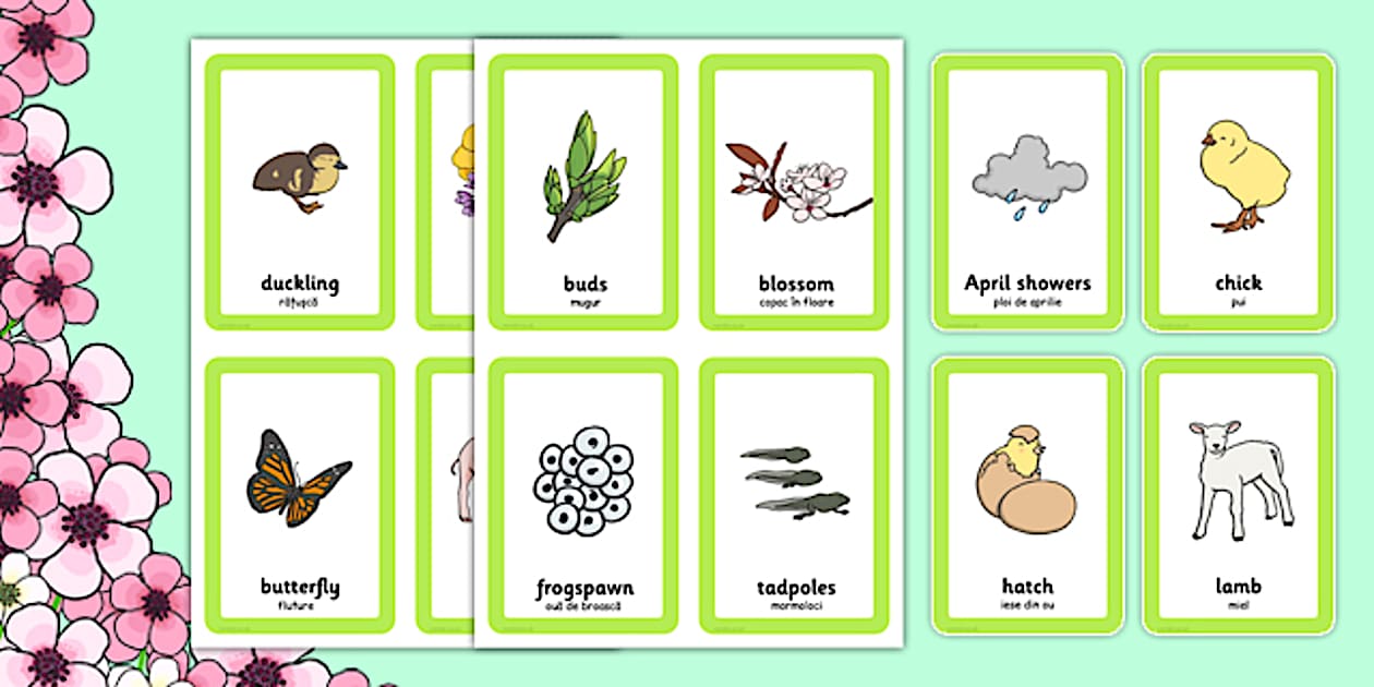 Spring Pairs Matching Game Romanian Translation - Twinkl