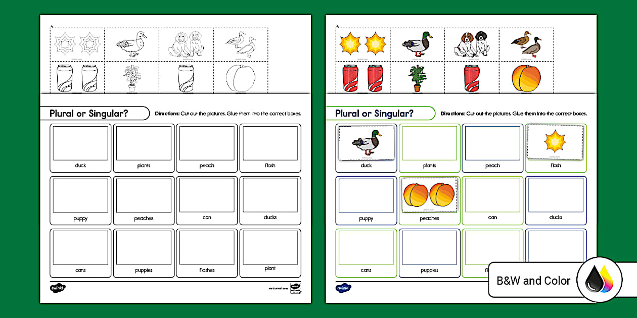Plural Word Sort Cut and Paste Worksheet for ELL Newcomers