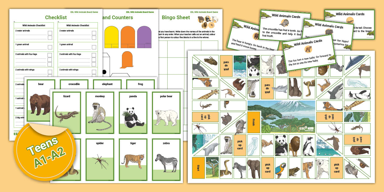 ESL Wild Animal Cards Pack for Teens (teacher made) - Twinkl