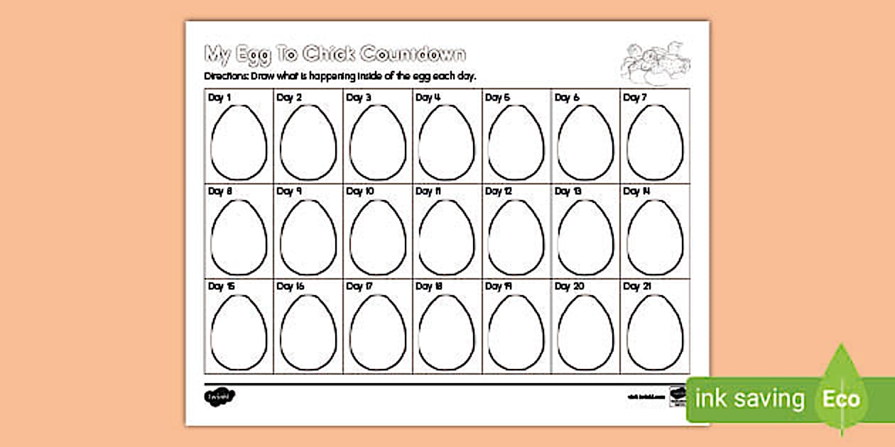 My Egg To Chick Countdown Worksheet (teacher made) - Twinkl