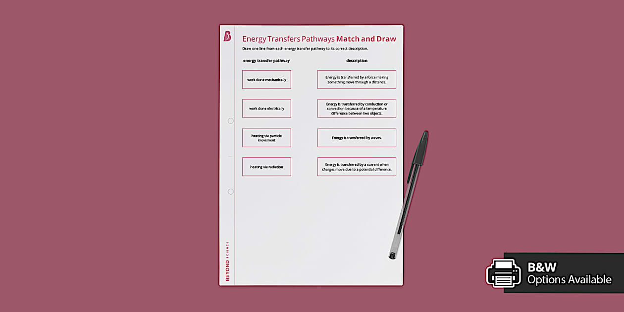 Energy Transfer Pathways Match and Draw | Science | Beyond