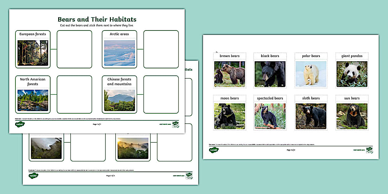 Bears and Their Habitats Cut and Stick Matching Activity