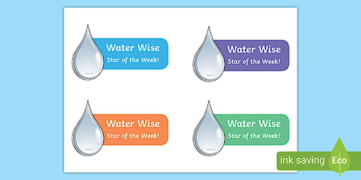 Water Wise Badges (teacher made) - Twinkl