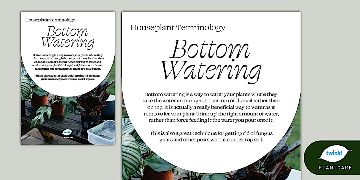 'Bottom Watering' Plantcare Terminology Poster